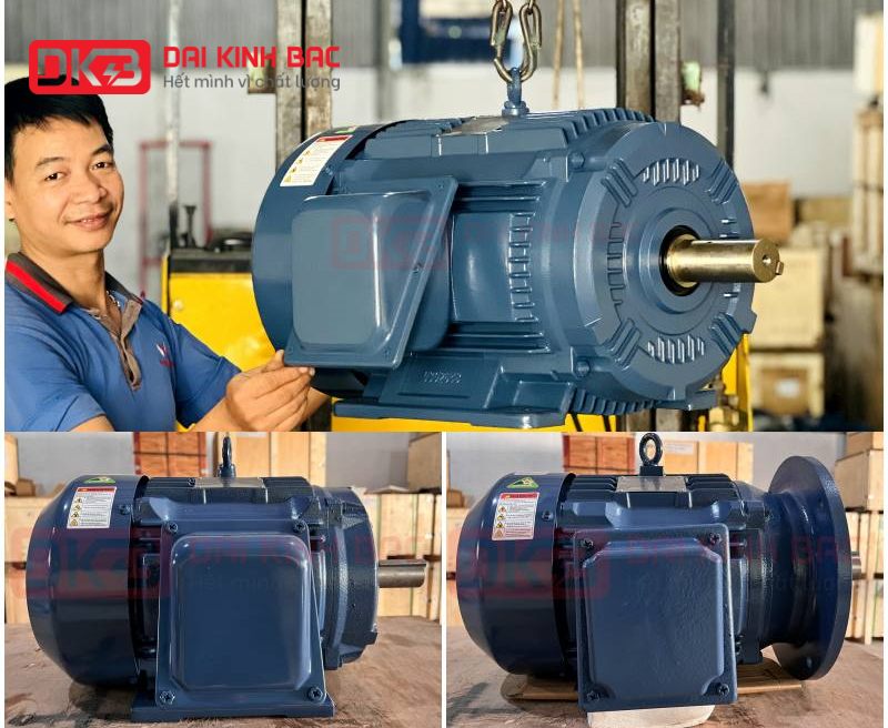 Motor Điện 3 Pha Hyosung Hàn Quốc